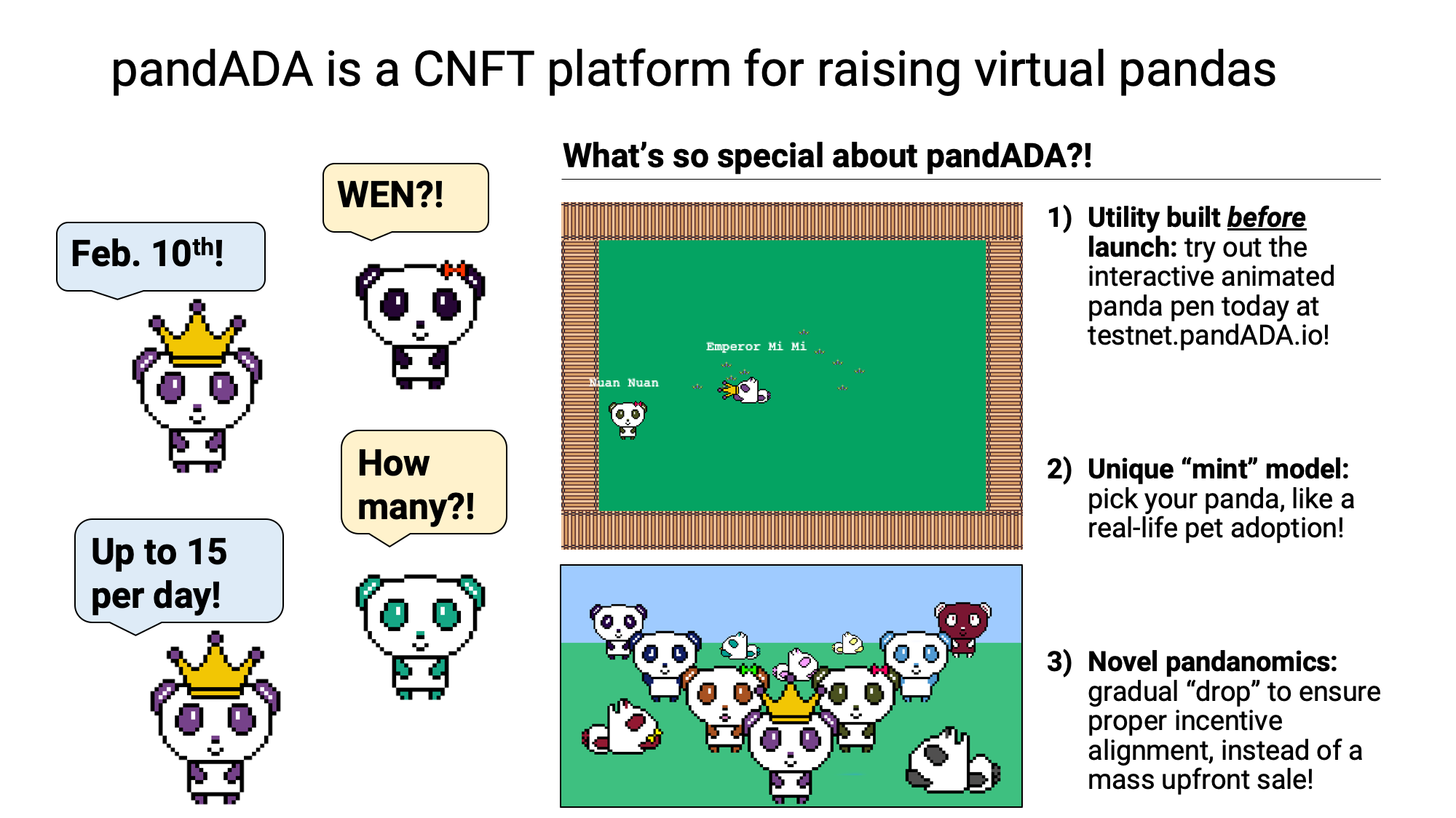 pandADA Project Information, FAQ, and Roadmap